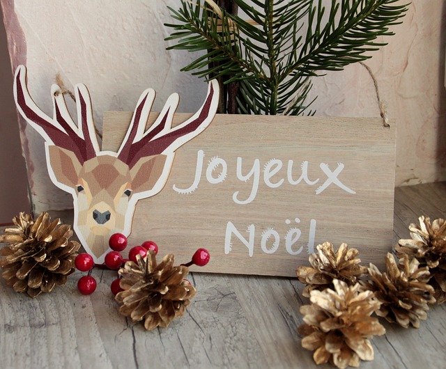 Mutlu Noeller Bayram Noel - Pixabay'de ücretsiz fotoğraf - Pixabay