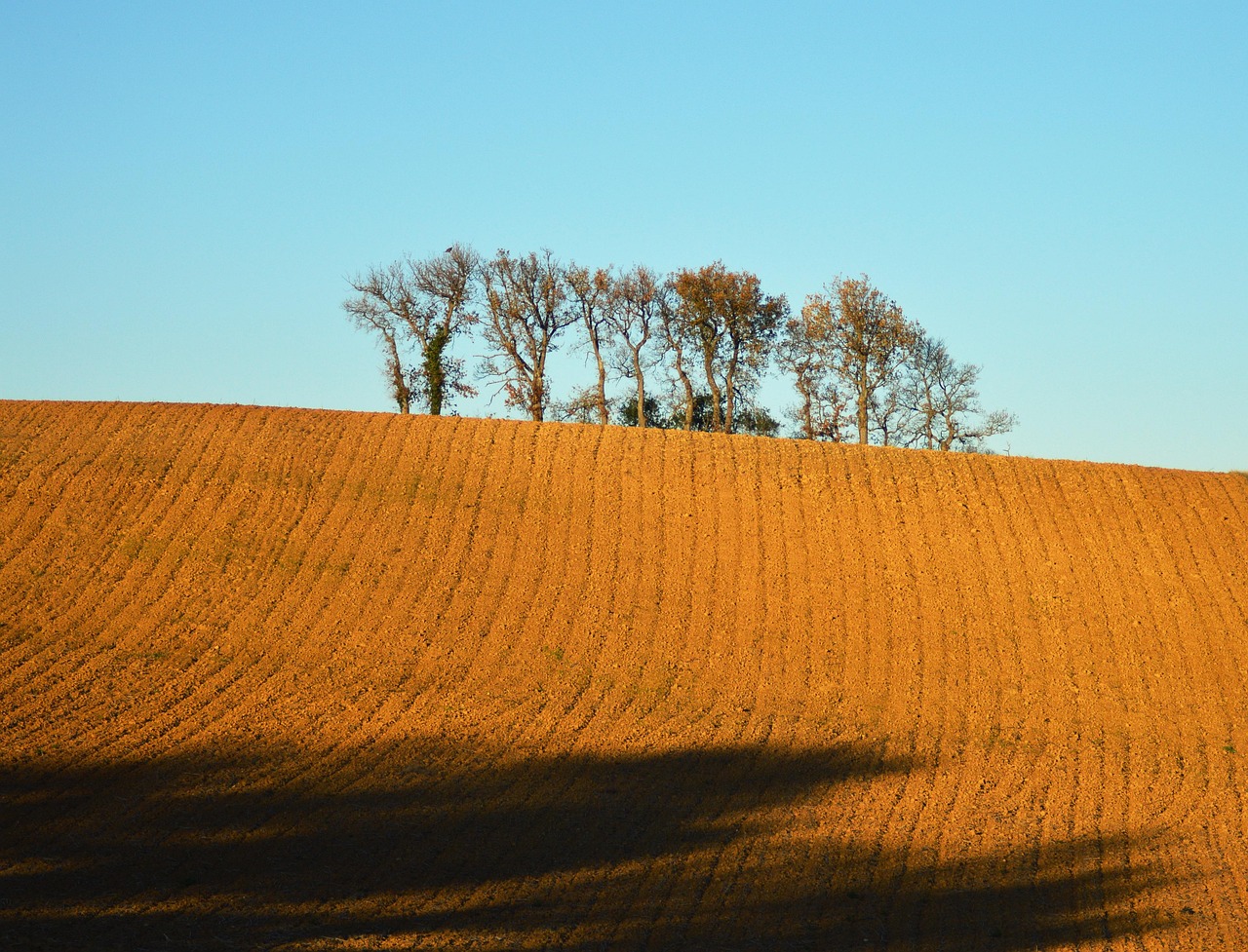 Field Landscape Nature - Free photo on Pixabay - Pixabay