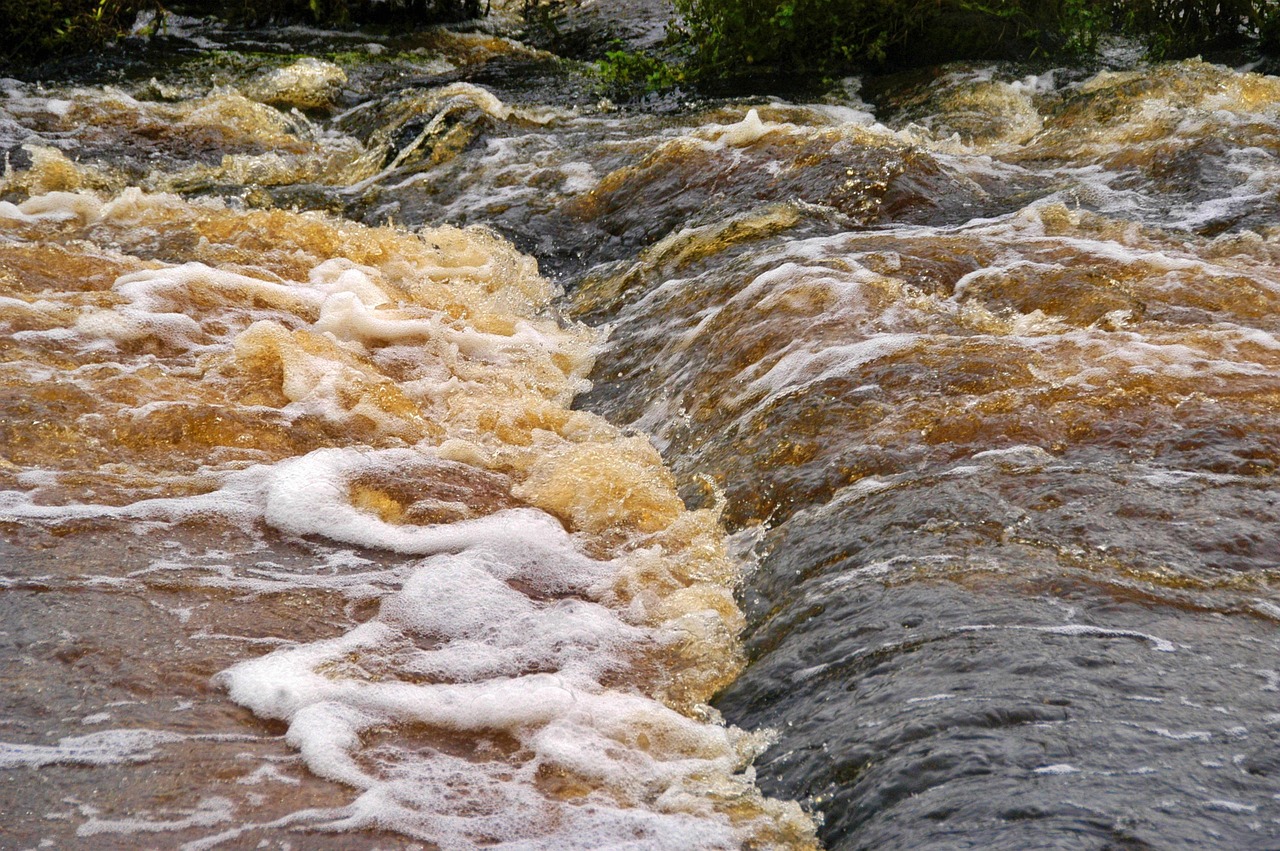 Diep Water Wezens