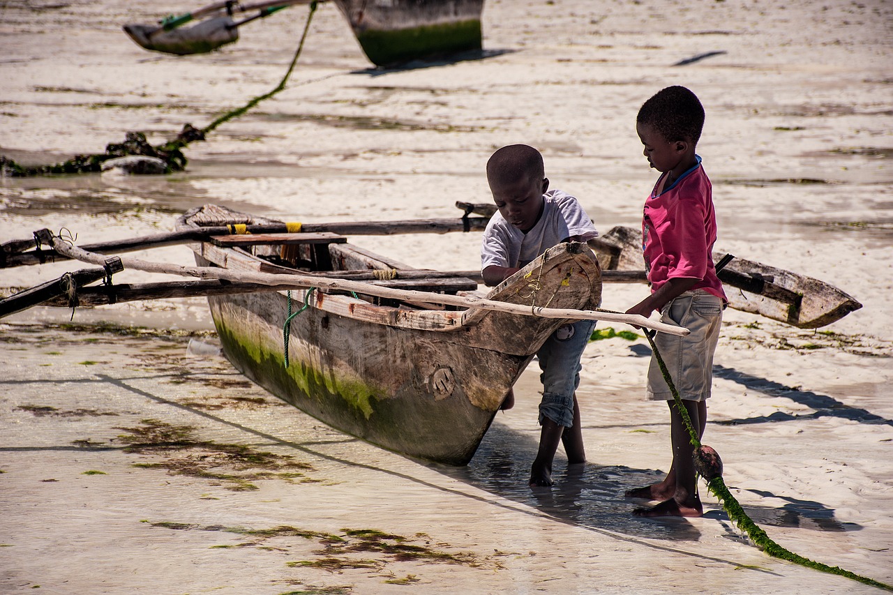 30,000+ Free Zanzibar Island & Zanzibar Images - Pixabay