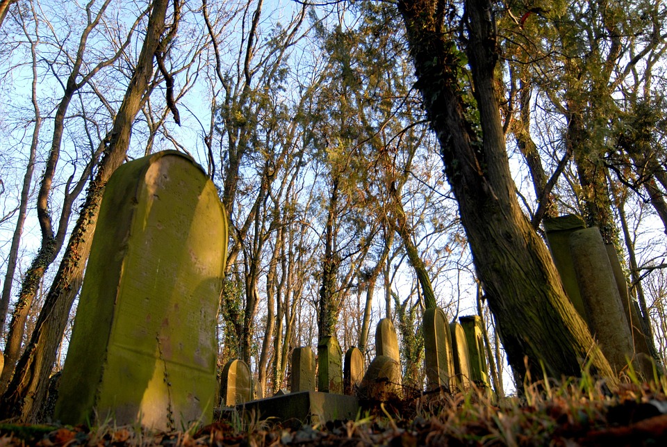 Jewish Cemetery Deserted - Free photo on Pixabay - Pixabay