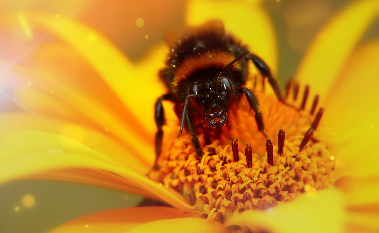 200+ Free Natural Gas & Nature Photos - Pixabay