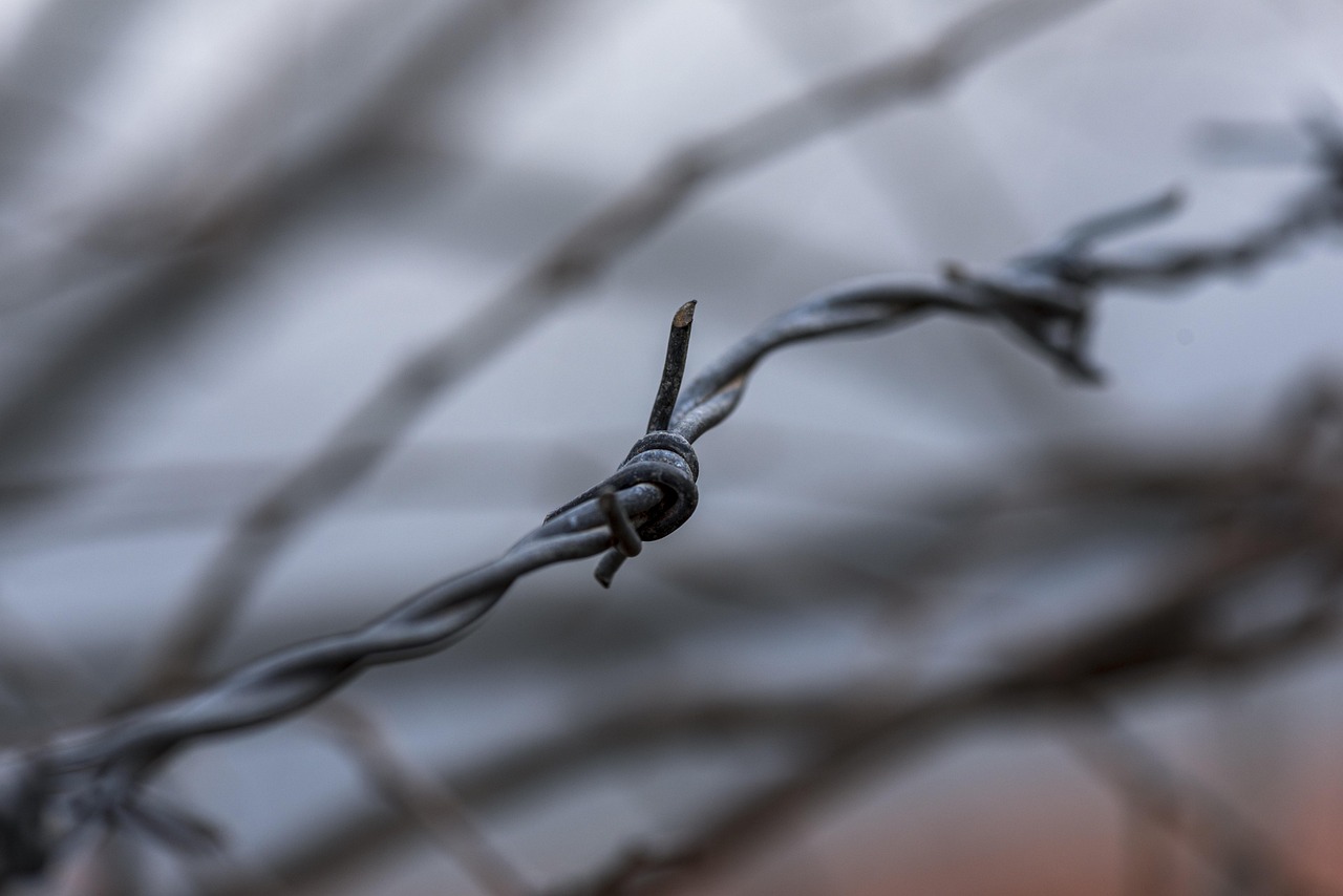 Makro Kabel Pagar - Foto gratis di Pixabay - Pixabay