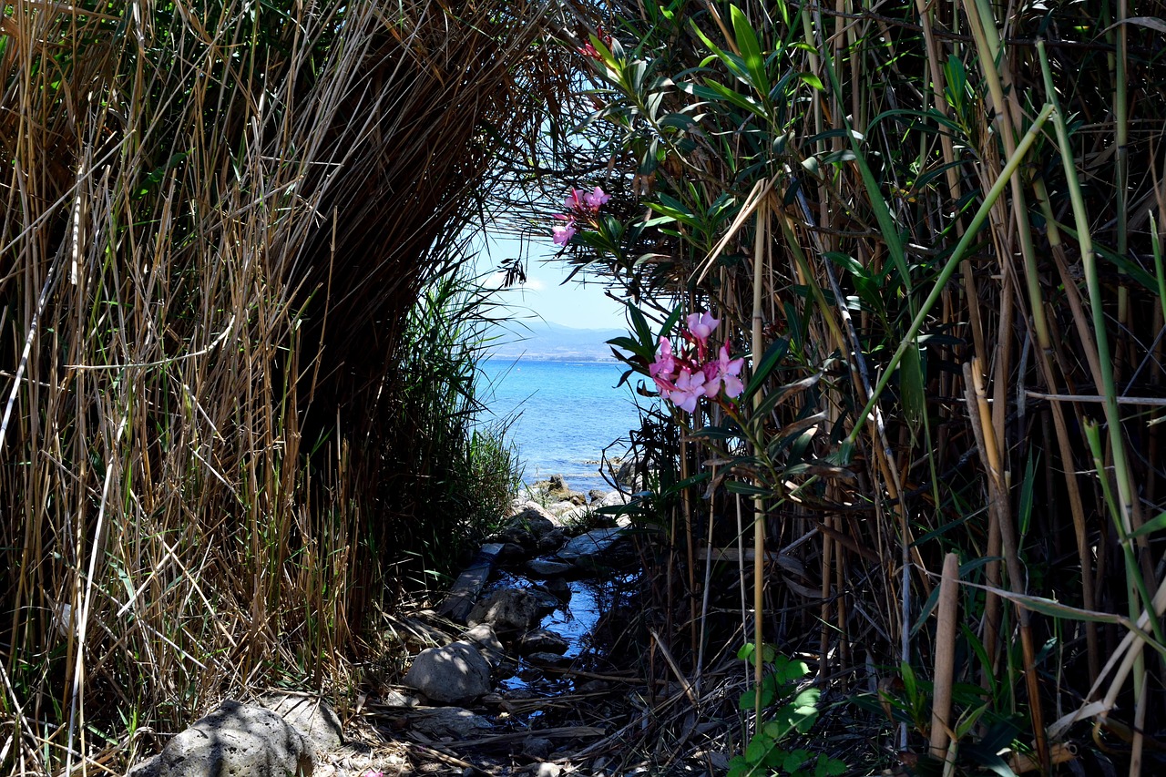 50,000+ Free Point Of View & Nature Photos - Pixabay
