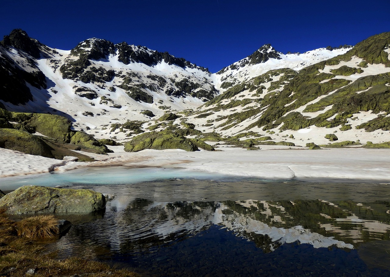 5+ Free Gredo & Spanish Ibex Images - Pixabay