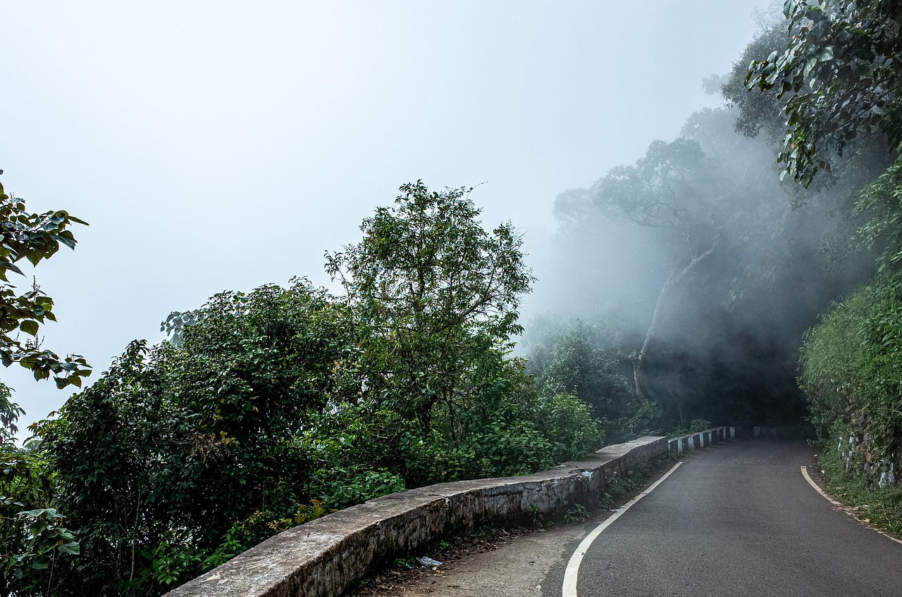 10,000+ Free Morning Chill & Nature Images - Pixabay
