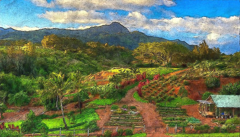 100+ Free Country Side & Nature Images