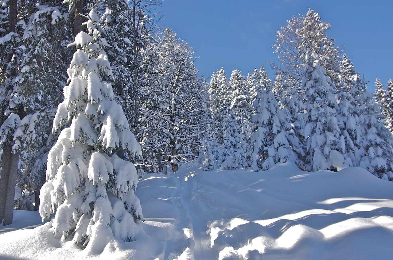 Nieve Paisaje Nevado - Foto gratis en Pixabay