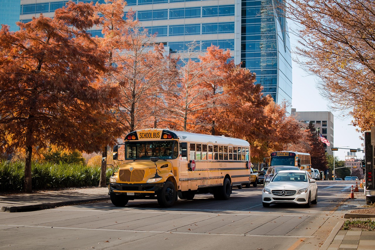 20,000+ Free School Transport & School Bus Images - Pixabay