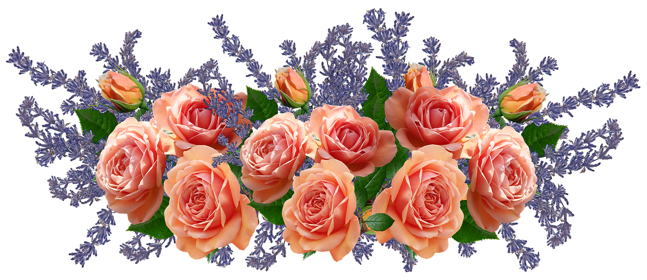 Flowers Roses Lavender - Free photo on Pixabay