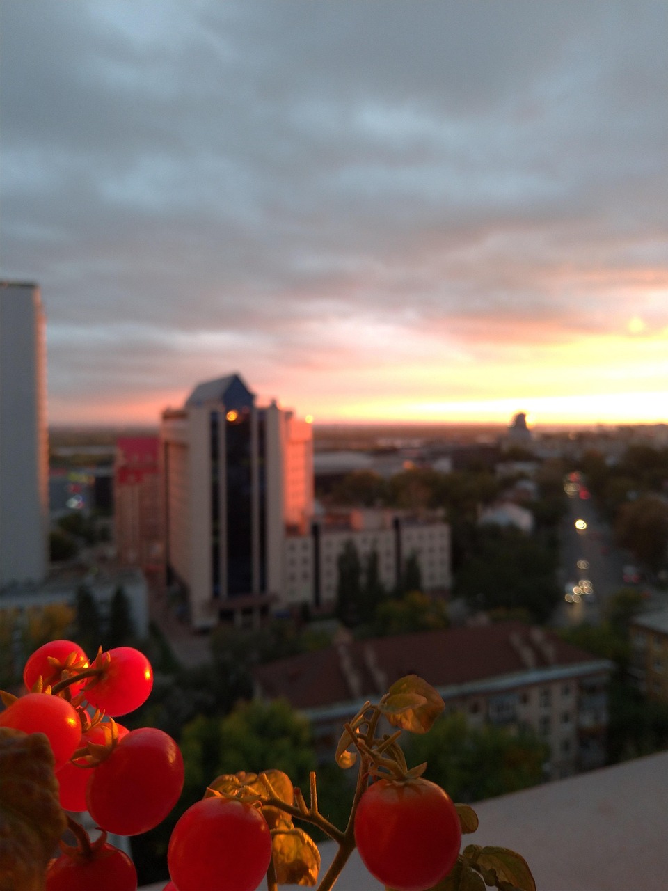 City Sunset Tomatoes - Free photo on Pixabay