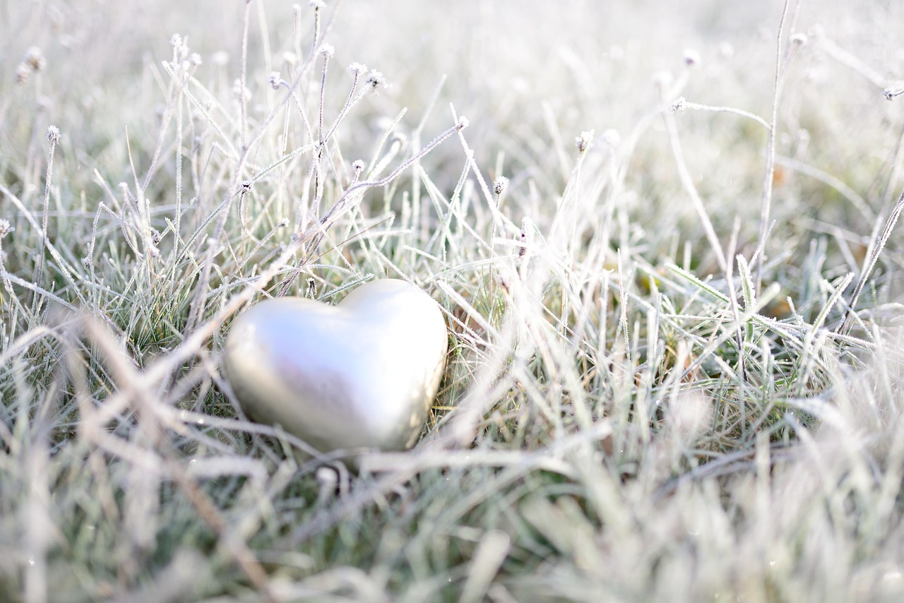 Más de 60 000 imágenes gratis de Corazon Con Curitas y Amor - Pixabay