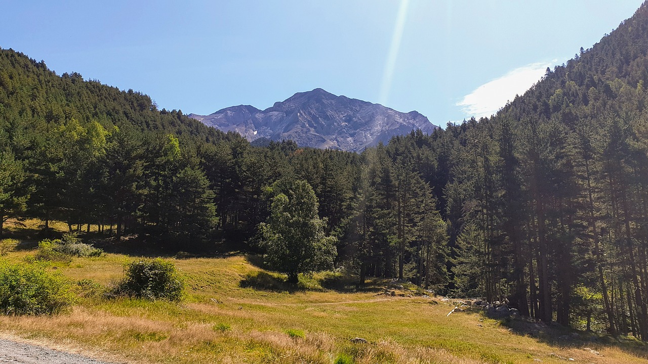 5+ Free Poşete & Pyrenees Images - Pixabay