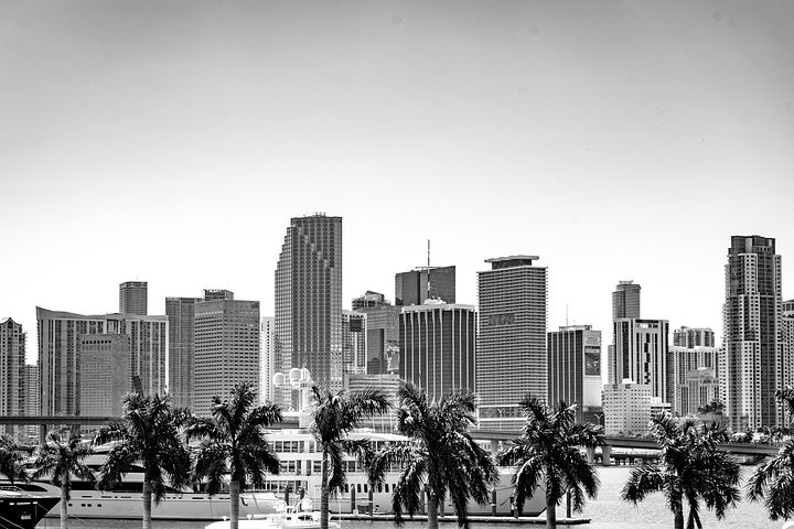 500+ Free Miami & Florida Images