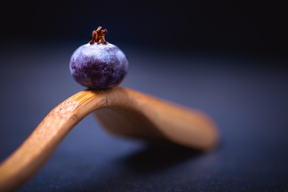Black Berry Baga Alimentação - Foto gratuita no Pixabay - Pixabay