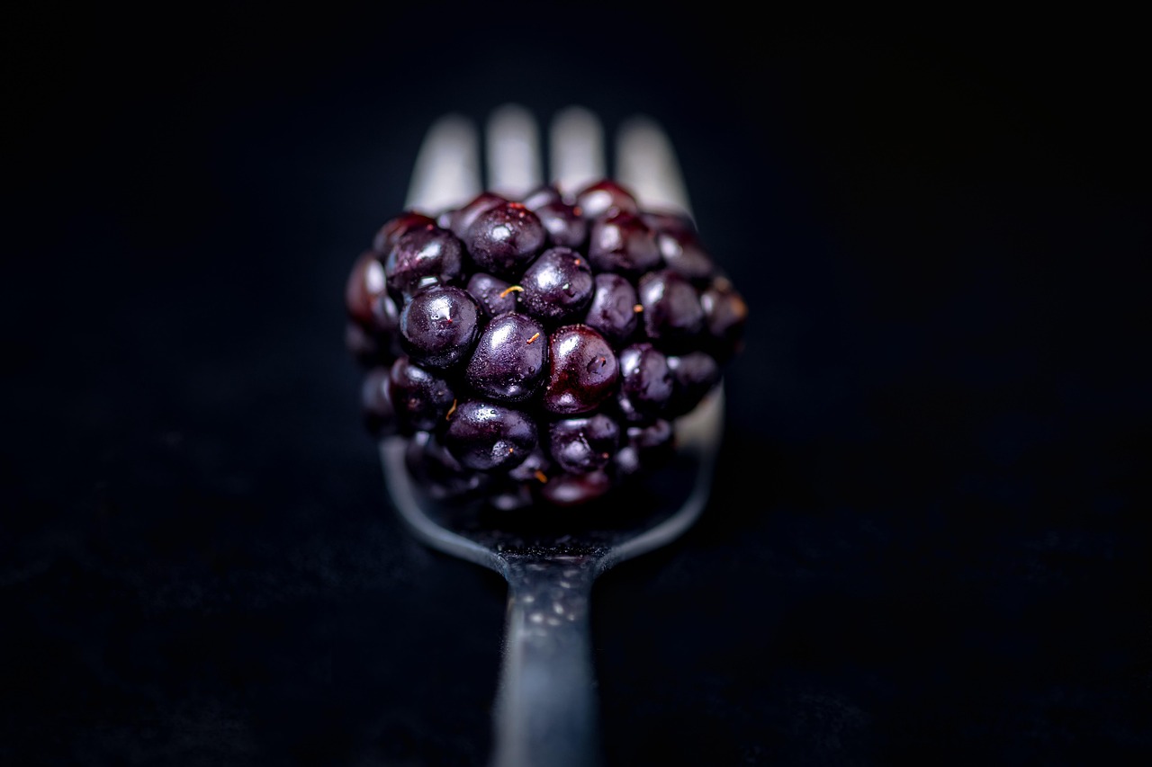 Black Berry Baga Alimentação - Foto gratuita no Pixabay - Pixabay