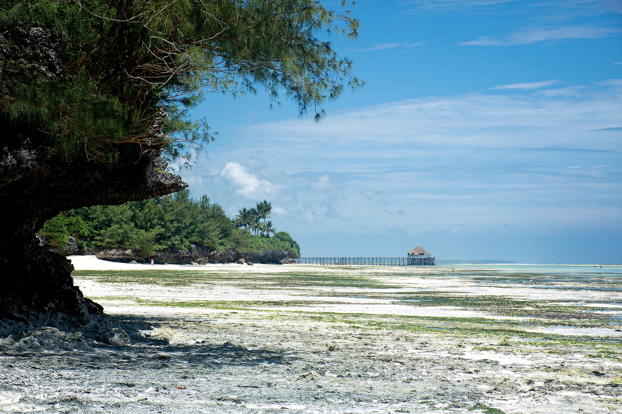 30,000+ Free Zanzibar Island & Zanzibar Images - Pixabay