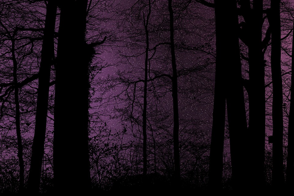 Download Night Sky, Star, Trees. Royalty-Free Stock Illustration Image ...