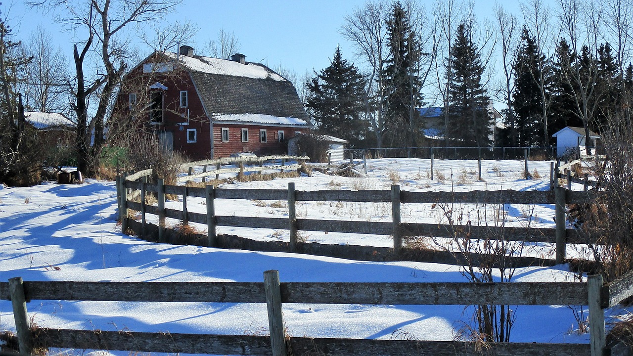 30,000+ Free Old Farm & Farm Images - Pixabay