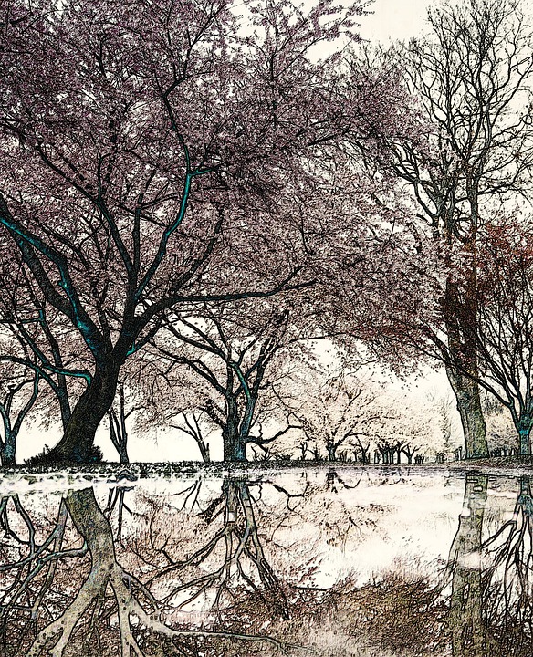 Download Pink Leaves, Water, Reflection. Royalty-Free Stock ...
