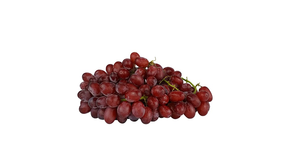 Uva Vermelha Vinho - Foto gratuita no Pixabay