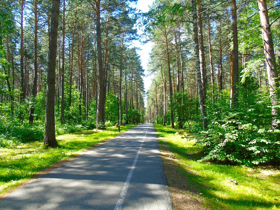Russia Siberia Nature - Free photo on Pixabay