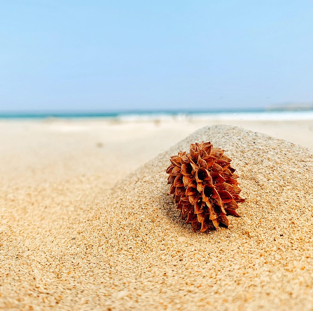 1,000+ Free Hello January & January Images - Pixabay