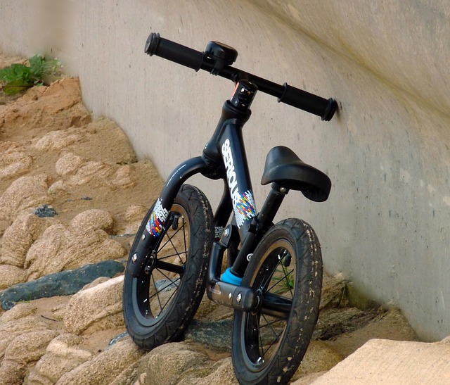Bicycle Child'S Bike Wheel To Go - Free photo on Pixabay