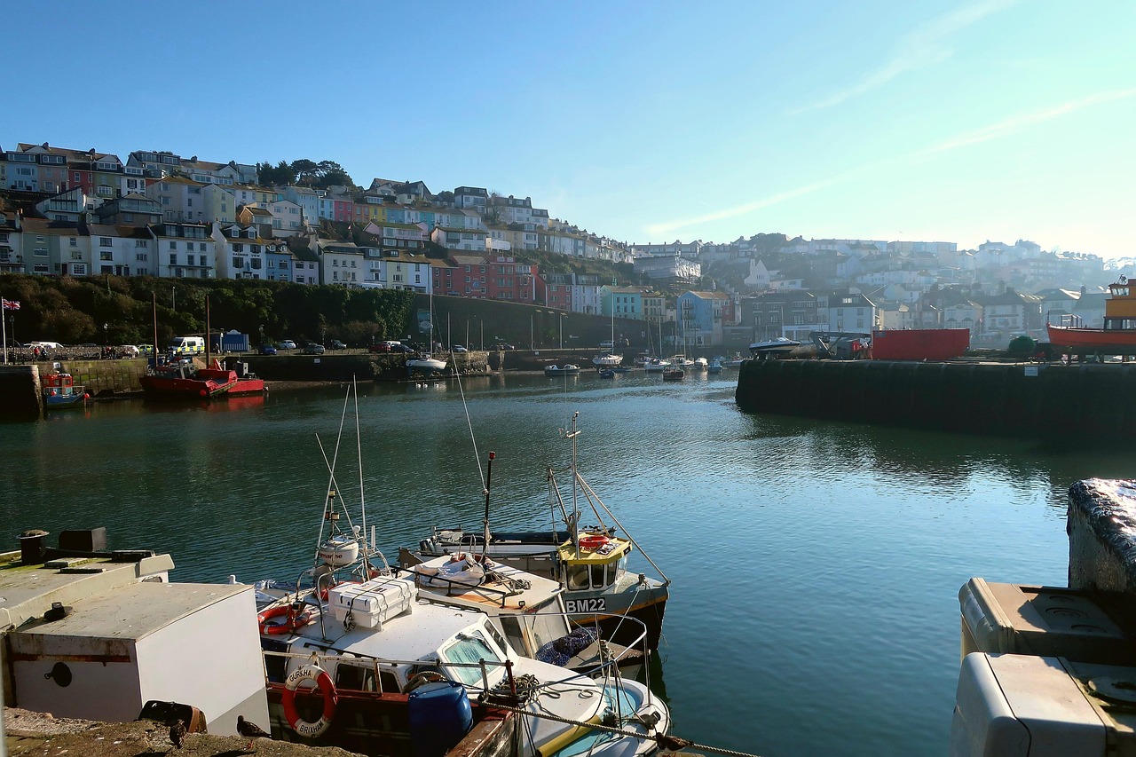 Harbor Harbour Devon - Free photo on Pixabay - Pixabay