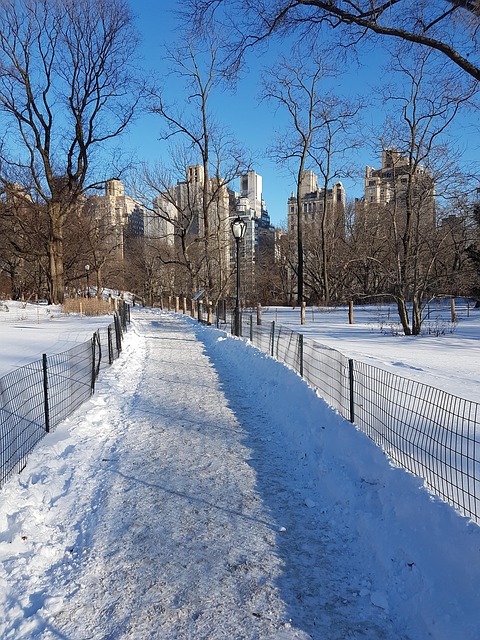 Más de 20 000 imágenes gratis de New York Nieve y Nieve - Pixabay
