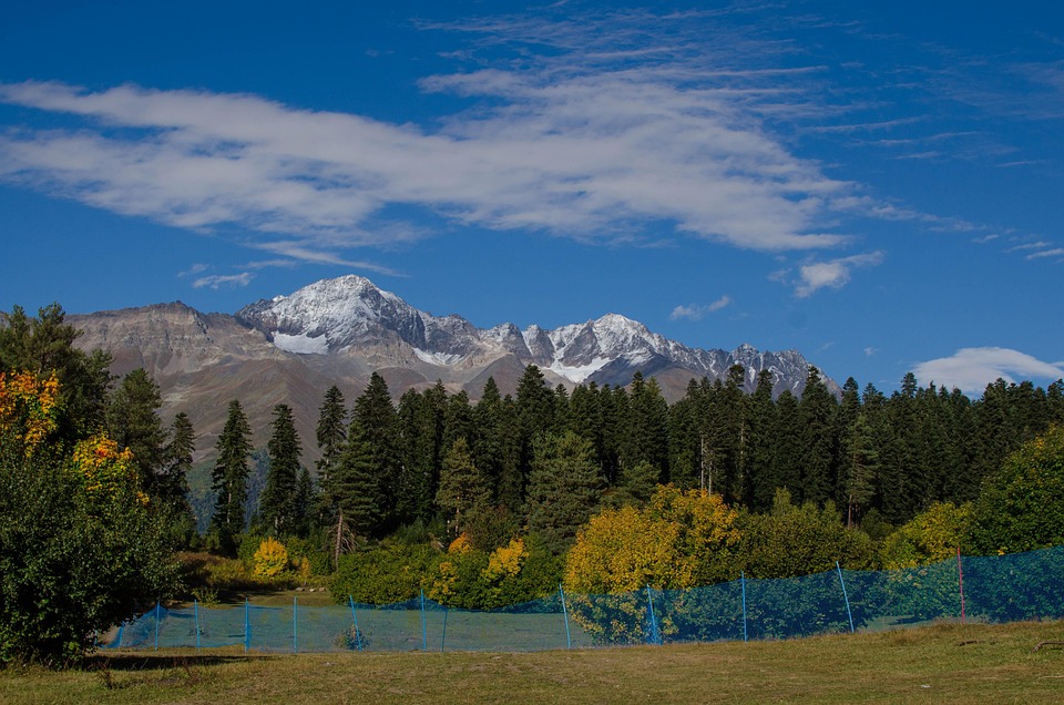 Georgia Svaneti Forest - Free photo on Pixabay