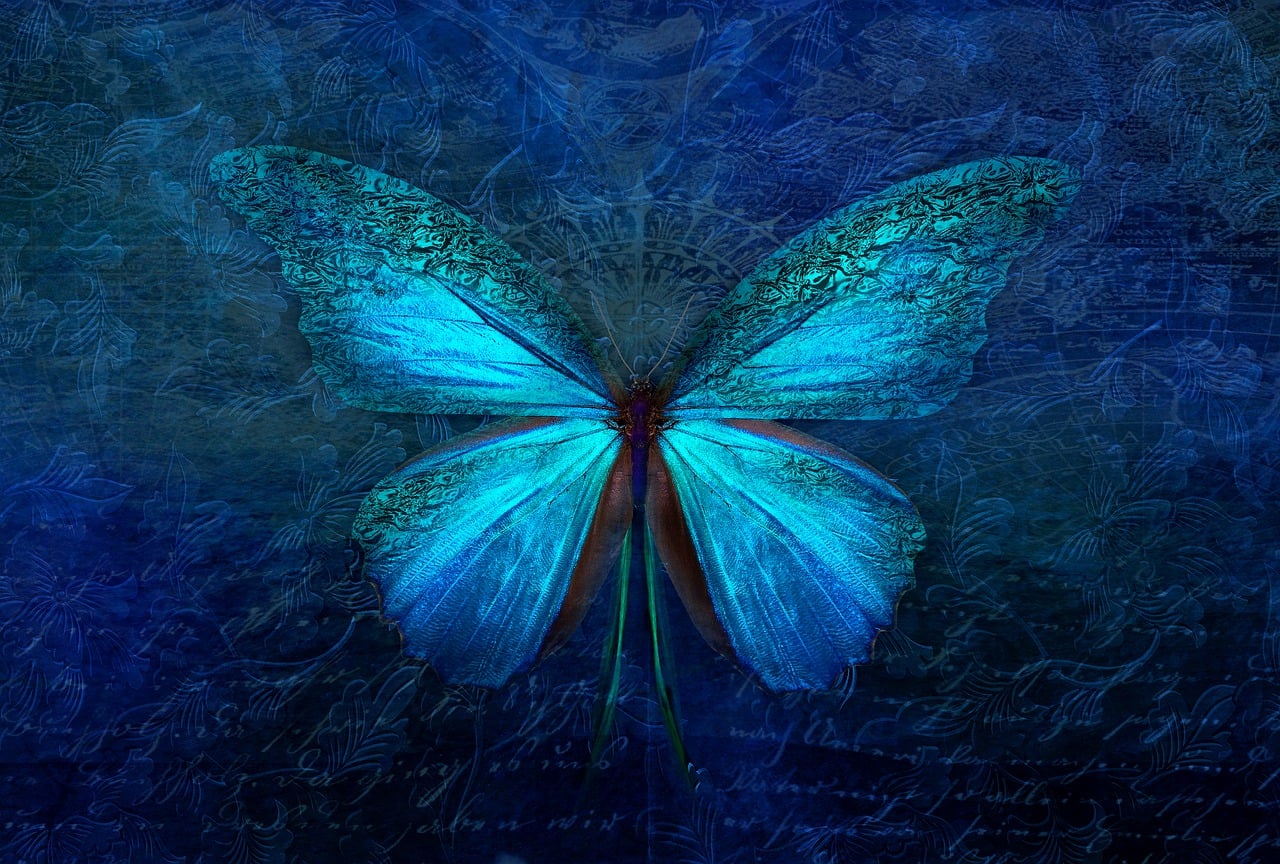 Explore 86,596+ Free Fantasy Illustrations: Download Now - Pixabay