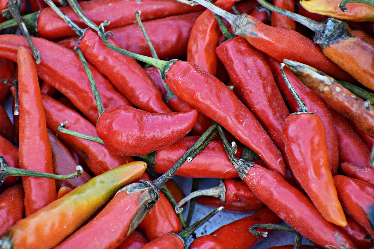 Chili Red Pepper - Free photo on Pixabay - Pixabay