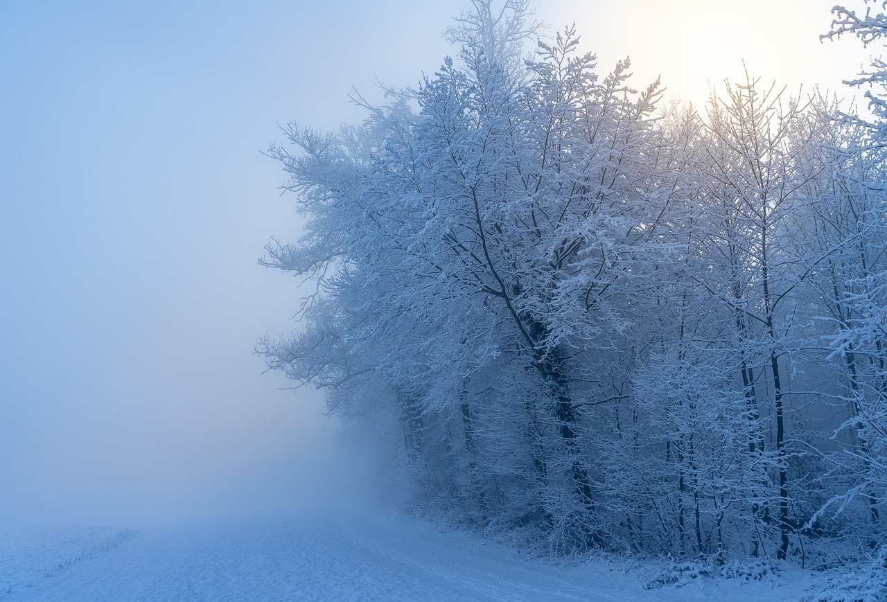 Winter Landscape Snow - Free photo on Pixabay