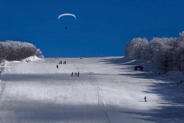 Neve Inverno Frio - Foto gratuita no Pixabay - Pixabay