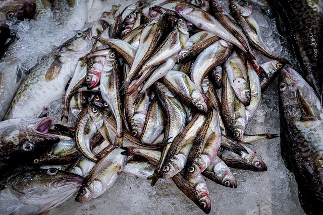Food Market Fish - Free photo on Pixabay