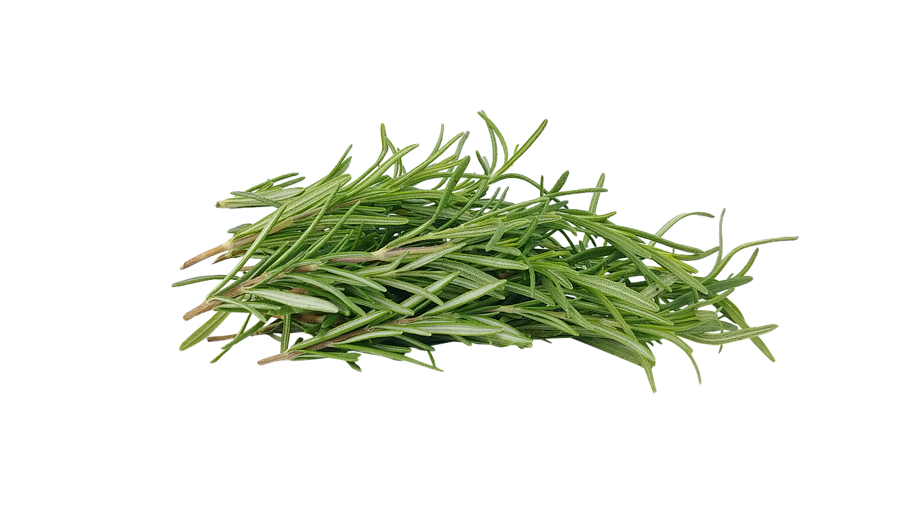 300,000+ Free Rosemary Plant & Rosemary Images - Pixabay