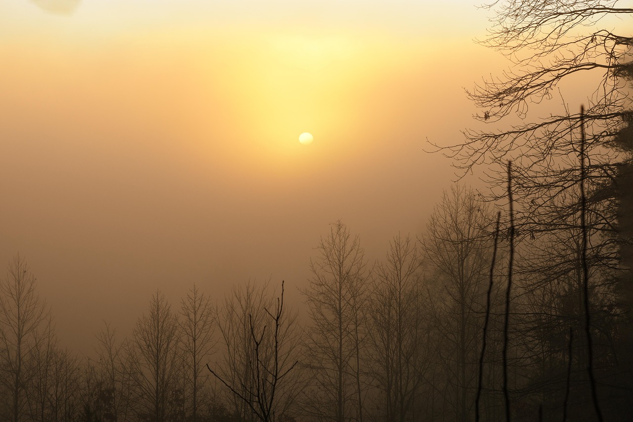 Lever Du Soleil Matin Nature - Photo gratuite sur Pixabay - Pixabay
