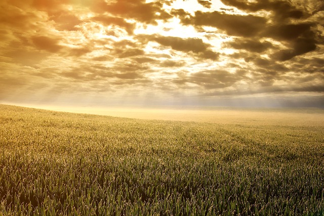 Landscape Nature Heaven - Free photo on Pixabay - Pixabay