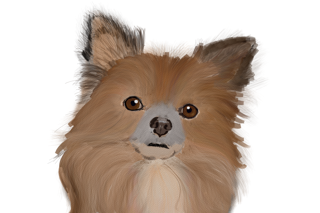Download Dog, Cute Dog, Animal. Royalty-Free Stock Illustration Image ...