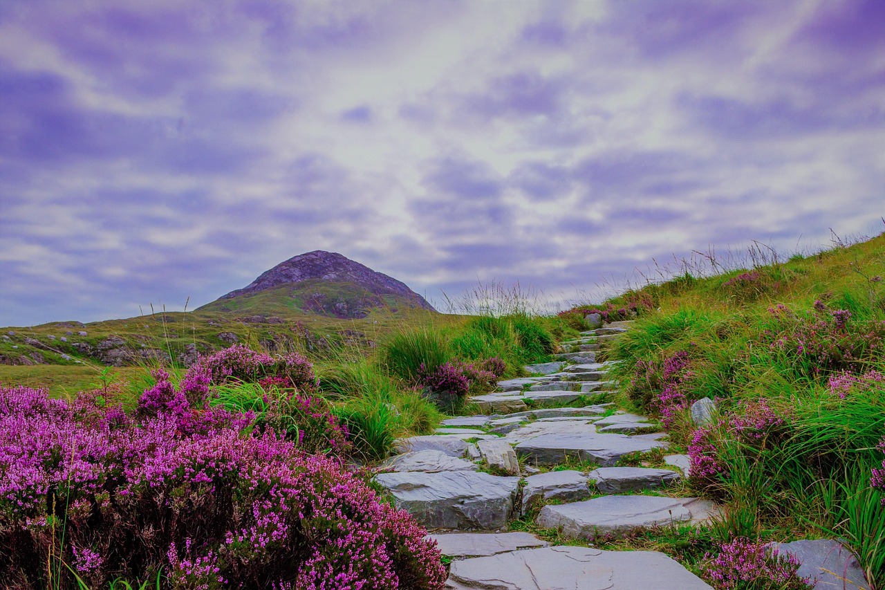Landscape Ireland National Park - Free photo on Pixabay - Pixabay