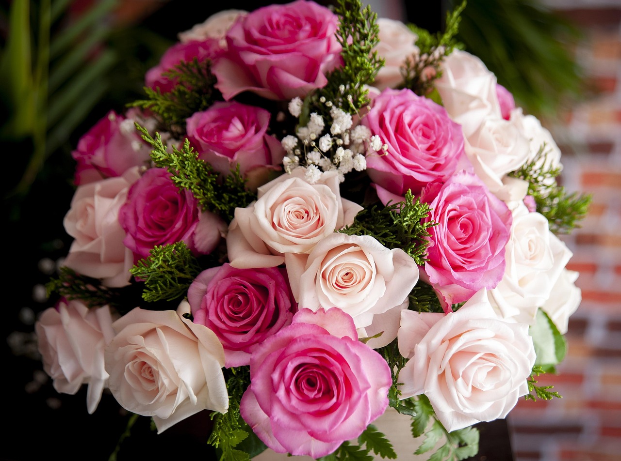 Roses Nature Greenery - Free photo on Pixabay - Pixabay