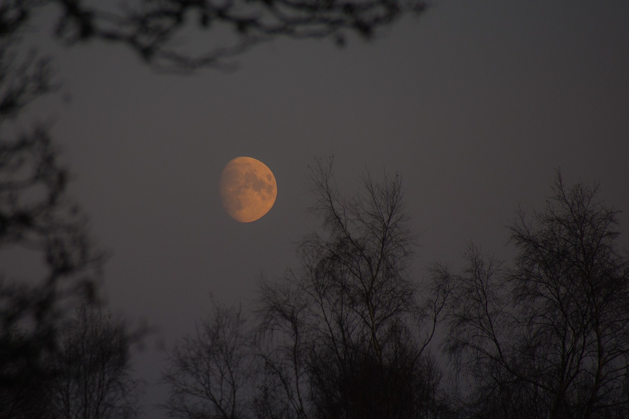Moon Night Dark - Free photo on Pixabay - Pixabay