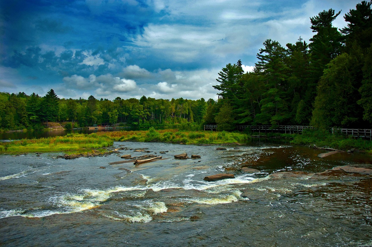 Michigan Water Forest - Free photo on Pixabay