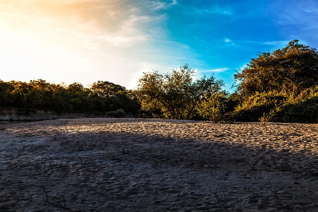 The River'S Fish And Landscape - Free photo on Pixabay - Pixabay