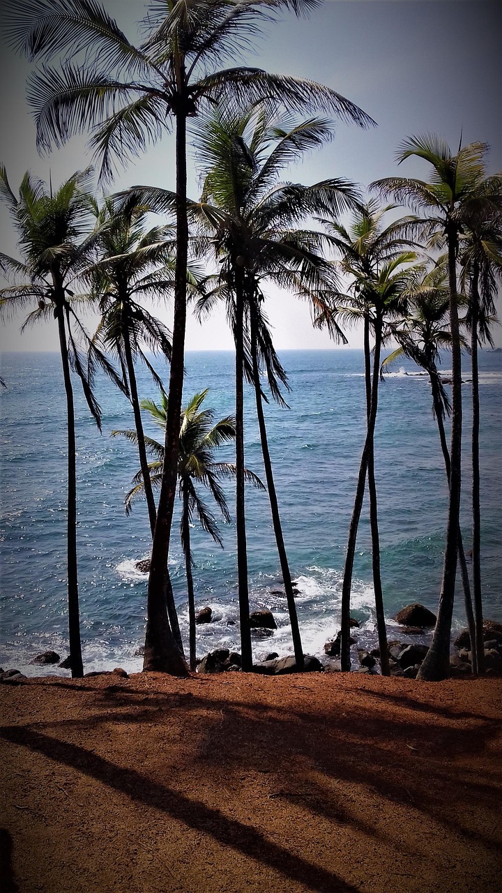 200+ Free Srilanka Na Mape & Srilanka Images - Pixabay