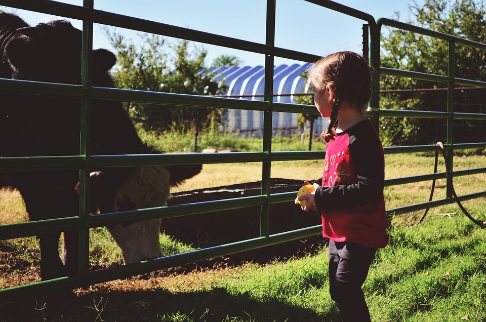 Girl Farm Countryside - Free photo on Pixabay - Pixabay