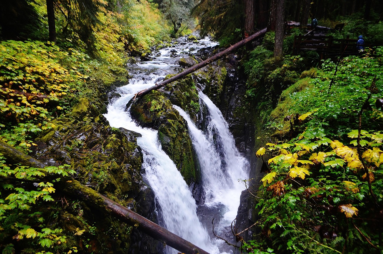 Sol Duc Falls Water Triple - Free photo on Pixabay - Pixabay