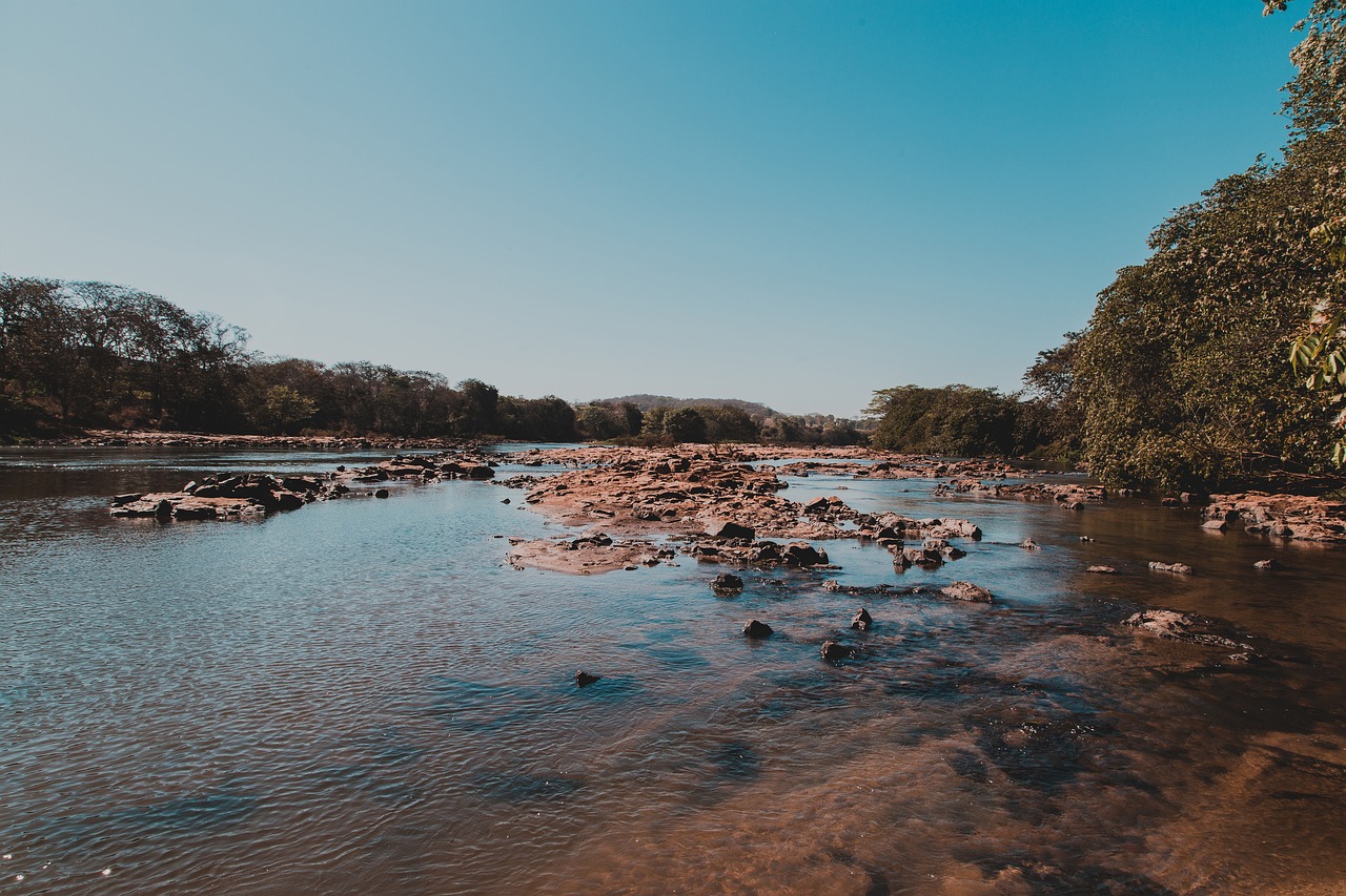 Mais de 90 imagens grátis de Goiás e Brasil - Pixabay