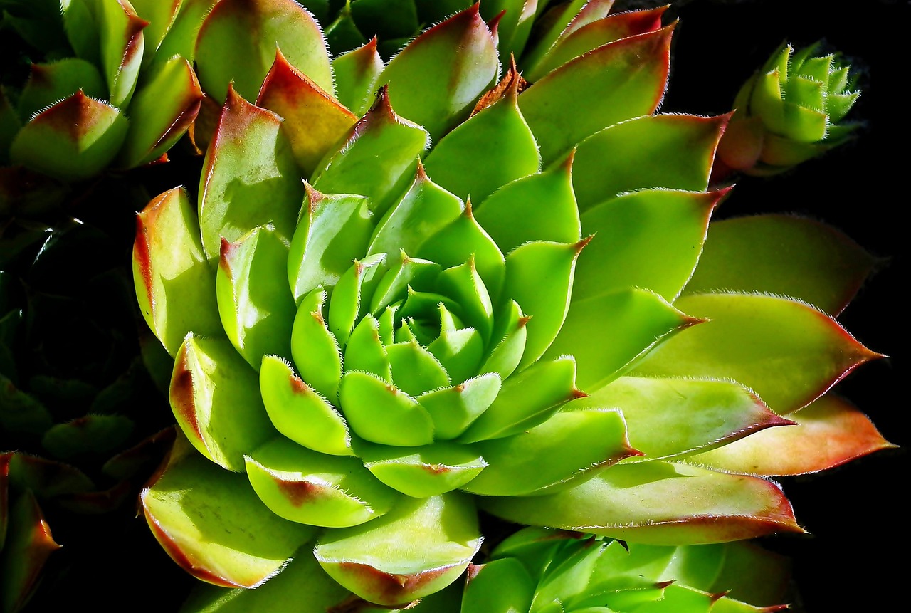 超过 70 张关于“Example”和“例子”的免费图片 - Pixabay